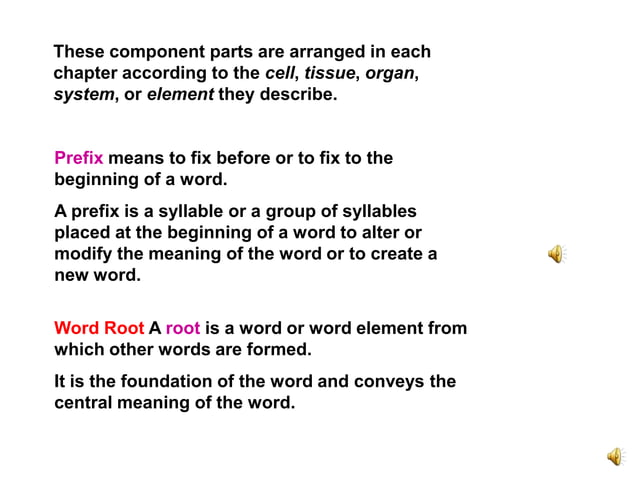 Medical Terminology | PPTX
