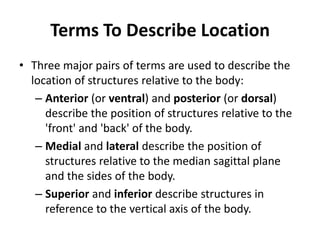 Medical terminology | PPTX