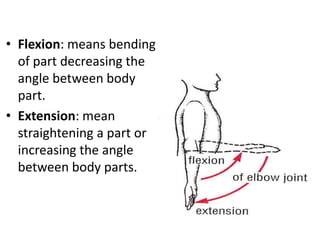 Medical terminology | PPTX