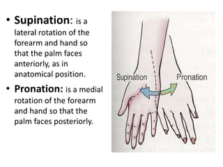 Medical terminology | PPTX