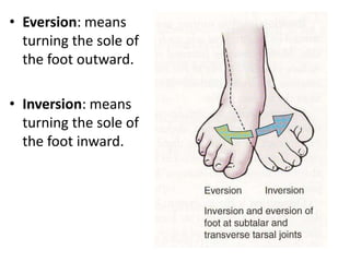 Medical terminology | PPTX
