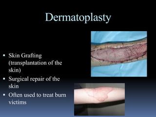 Medical terminology | PPTX