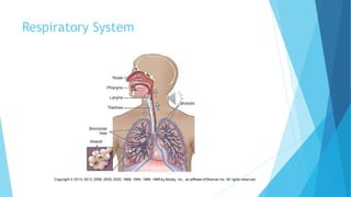 Medical terminology | PPTX