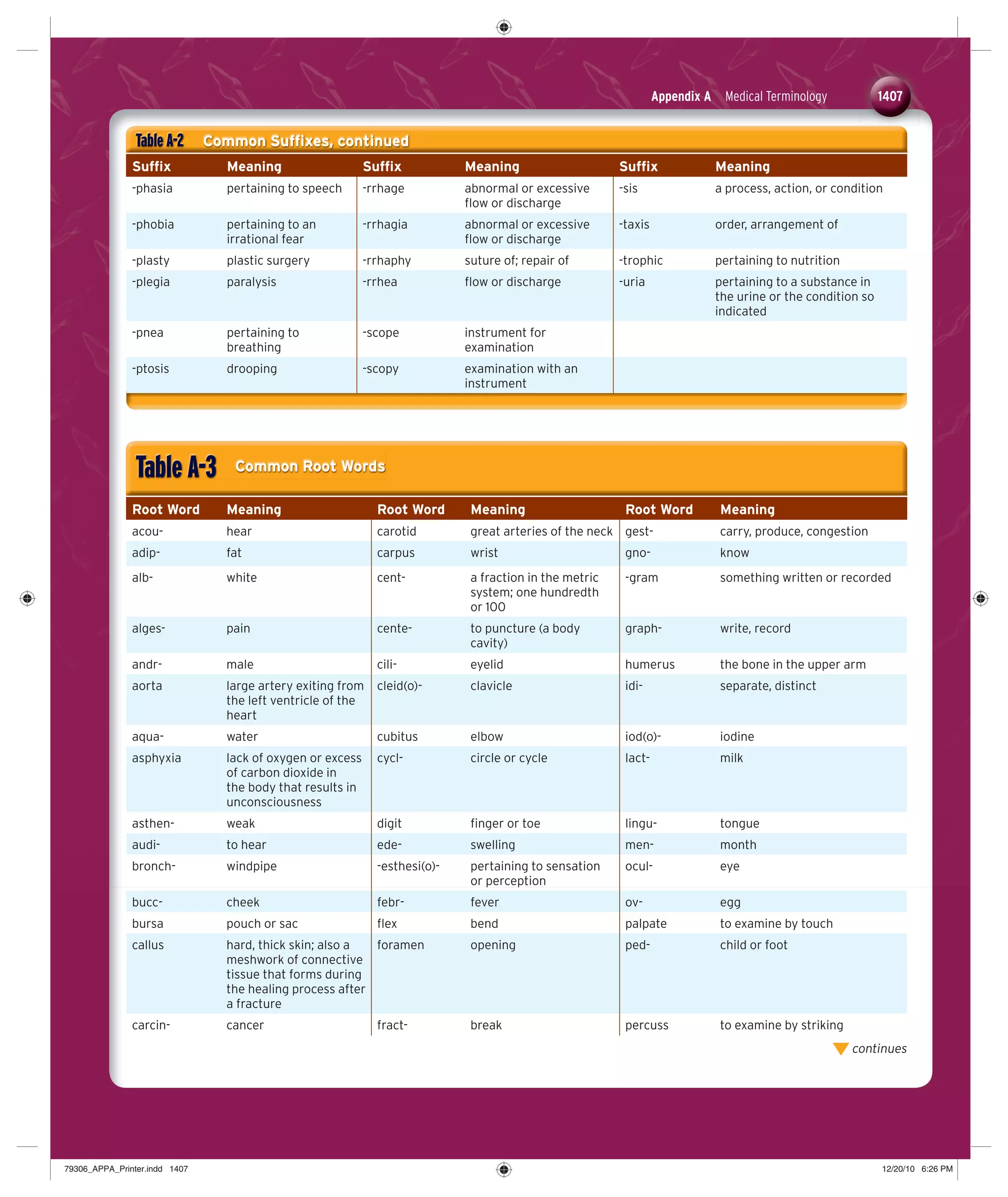 Medical terminology | PDF