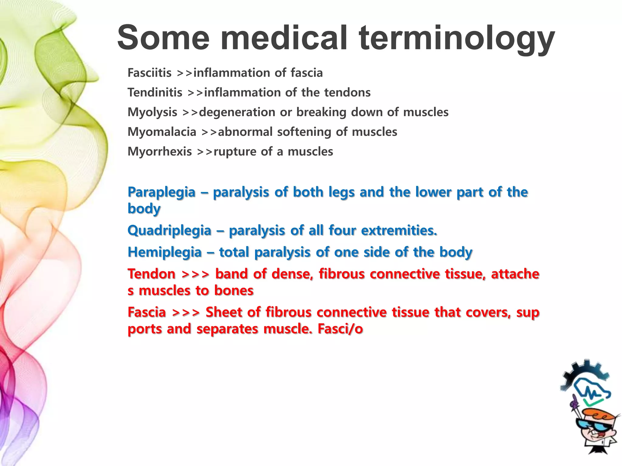 Medical terminology | PPTX | Heart and Cardiovascular Diseases ...