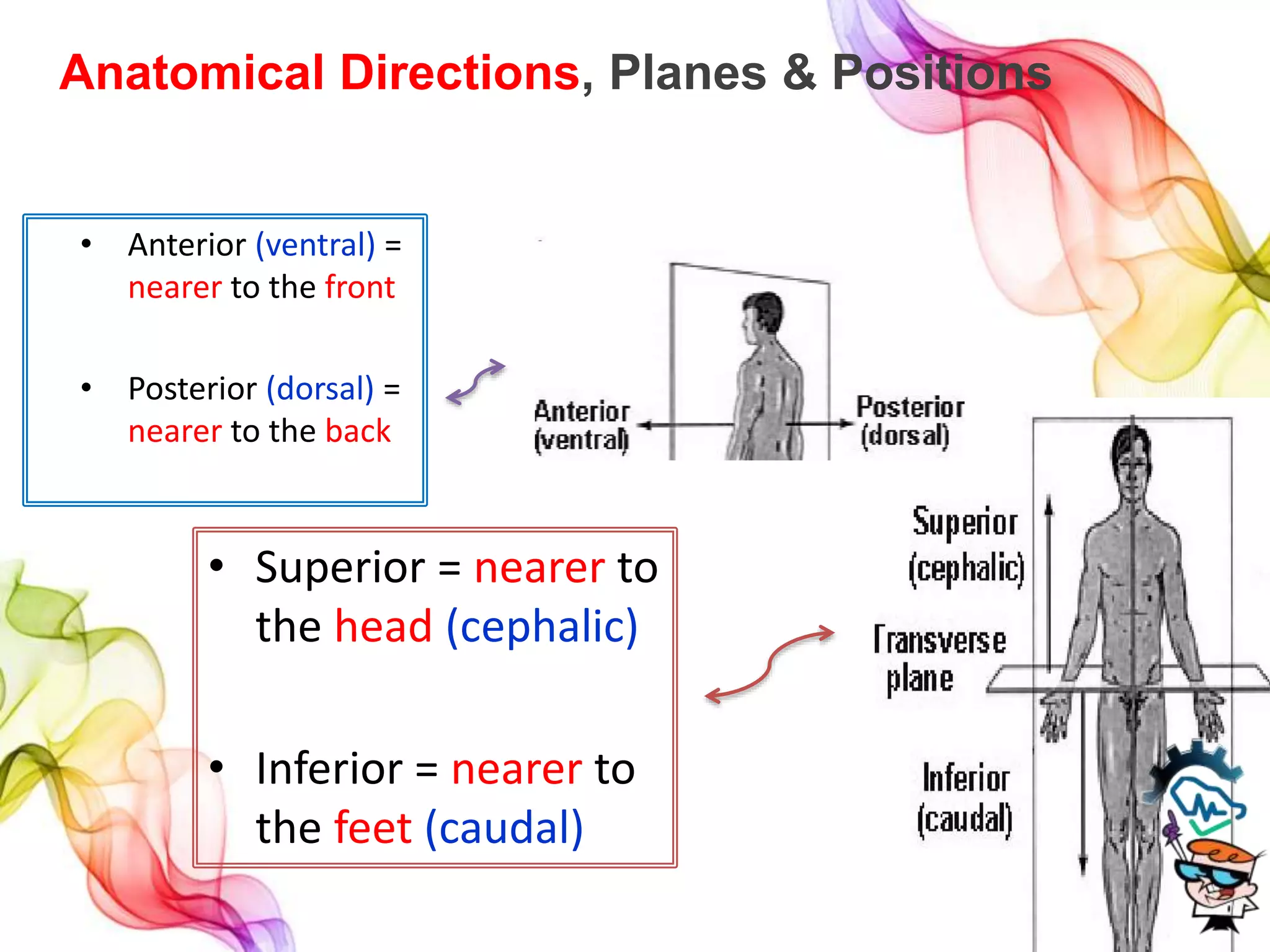 Medical terminology | PPTX