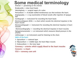 Medical terminology | PPTX