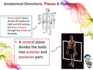 Medical terminology | PPTX