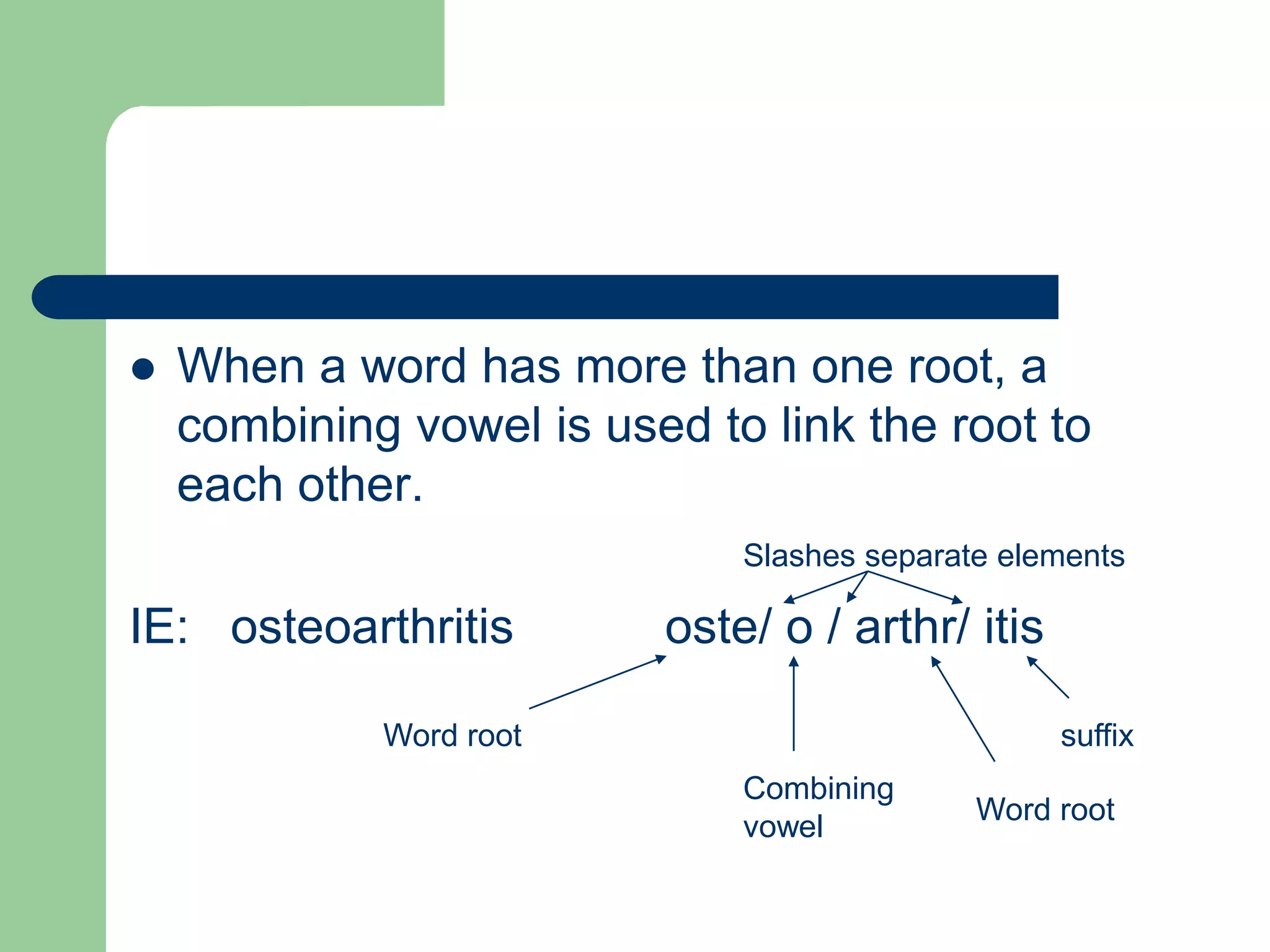 Medical terminology | PDF