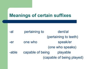 Medical terminology | PDF