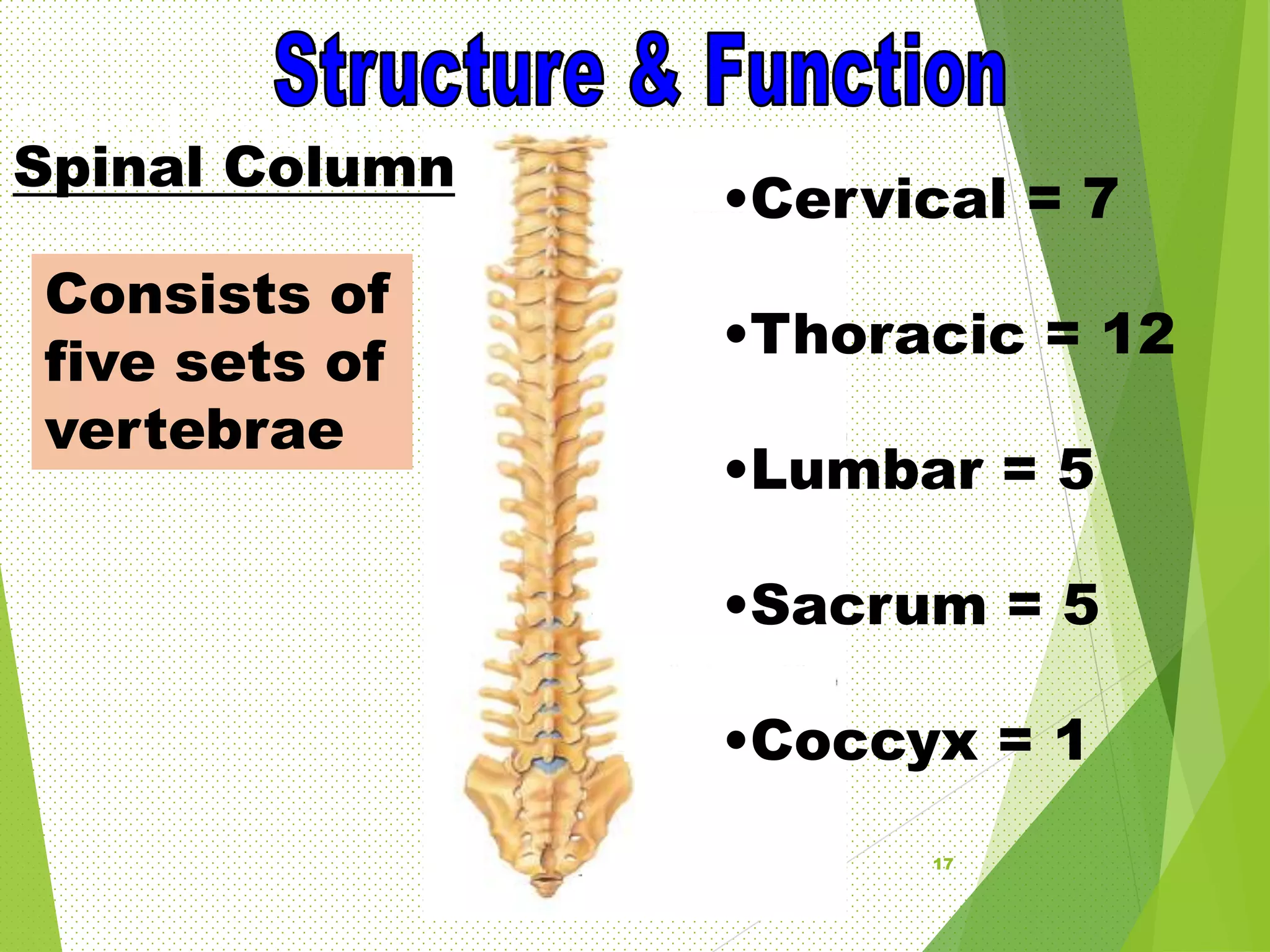 medical terminology.ppt