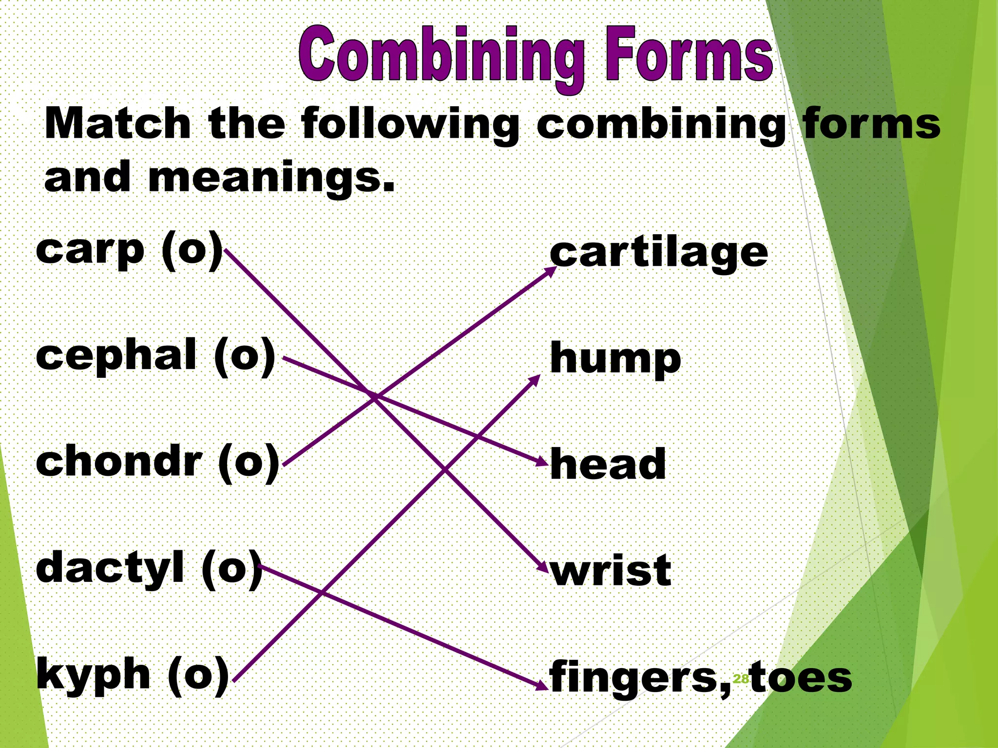 medical terminology.ppt