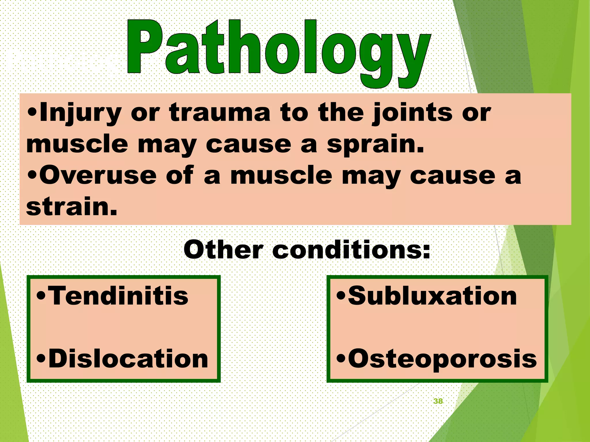 medical terminology.ppt
