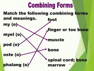 medical terminology.ppt
