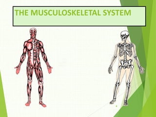 medical terminology.ppt