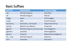 medical terminology.pptx