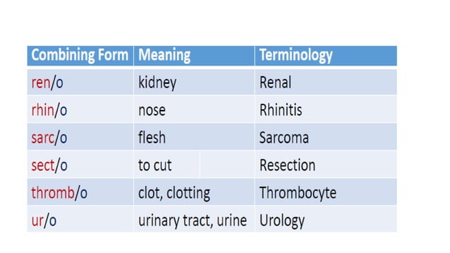 medical terminology.pptx