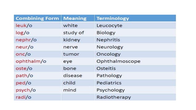 medical terminology.pptx
