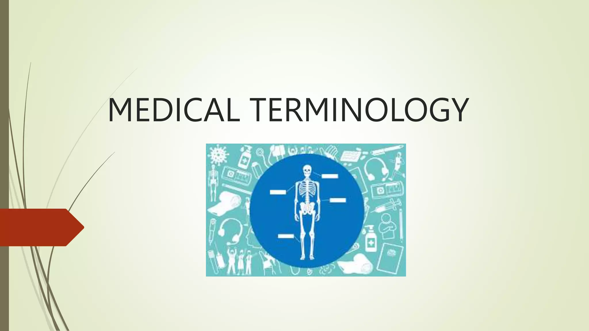 Medical Terminology.pptx