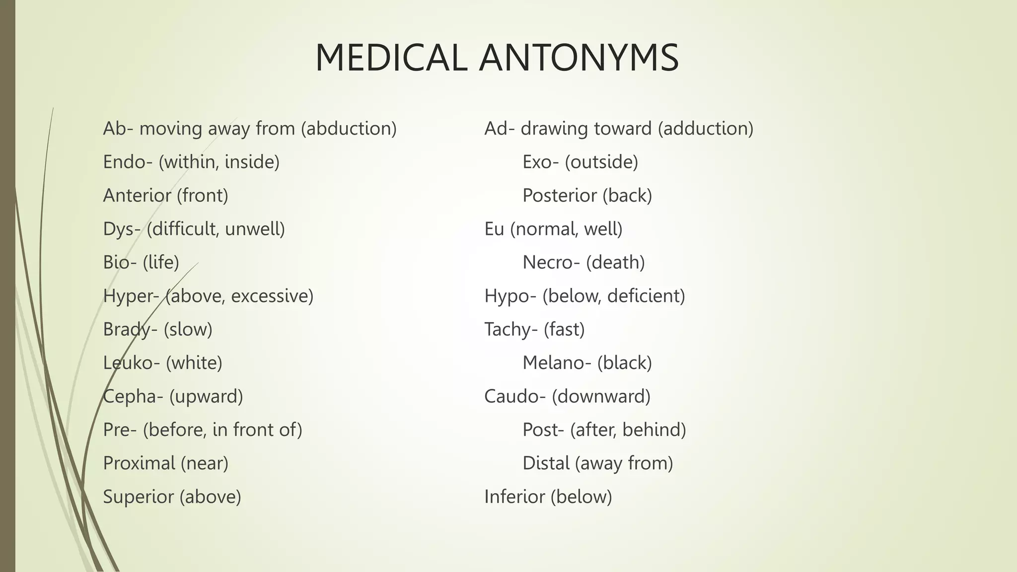 Medical Terminology.pptx