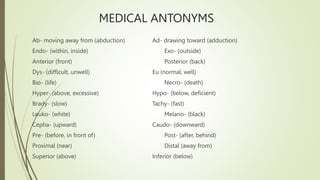 Medical Terminology.pptx | Lung and Respiratory Health | Diseases and ...