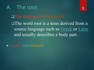 Medical Terminology.pptMedical Terminology.pptMedical Terminology.ppt ...