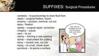 medical terminology in the medical field | PPTX
