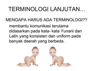 MENGAPA HARUS ADA TERMINOLOGI?? MEDICAL TERMINOLOGY.pdf