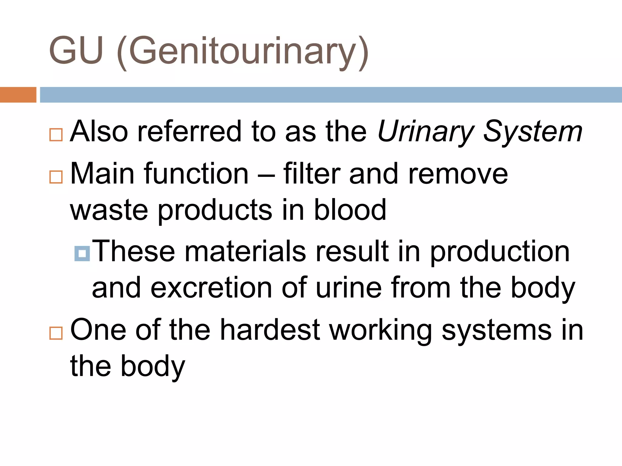 Medical terminology Chpt 9H Urinary System Abbrv | PPTX