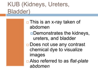 Medical terminology Chpt 9H Urinary System Abbrv | PPTX