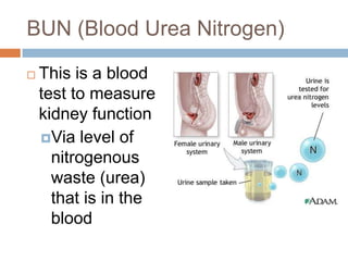 Medical terminology Chpt 9H Urinary System Abbrv | PPTX