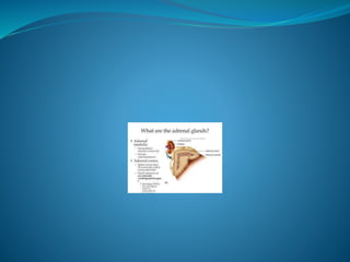 Medical terminology 1 | PPSX