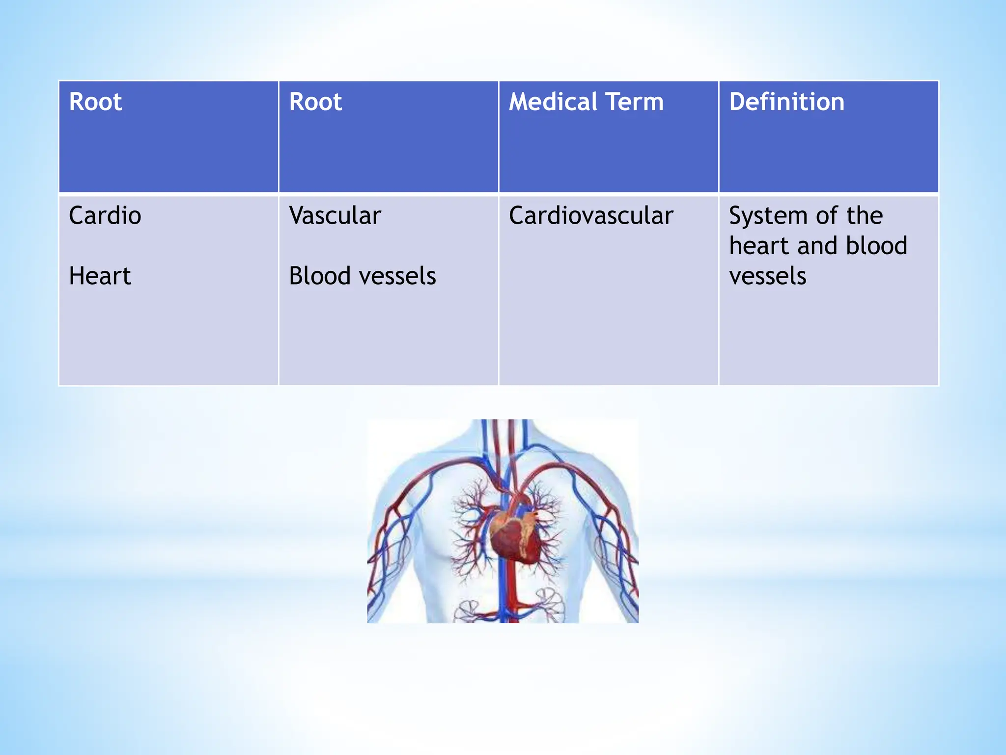 Medical Terminology root prefixes sufixes.pptx