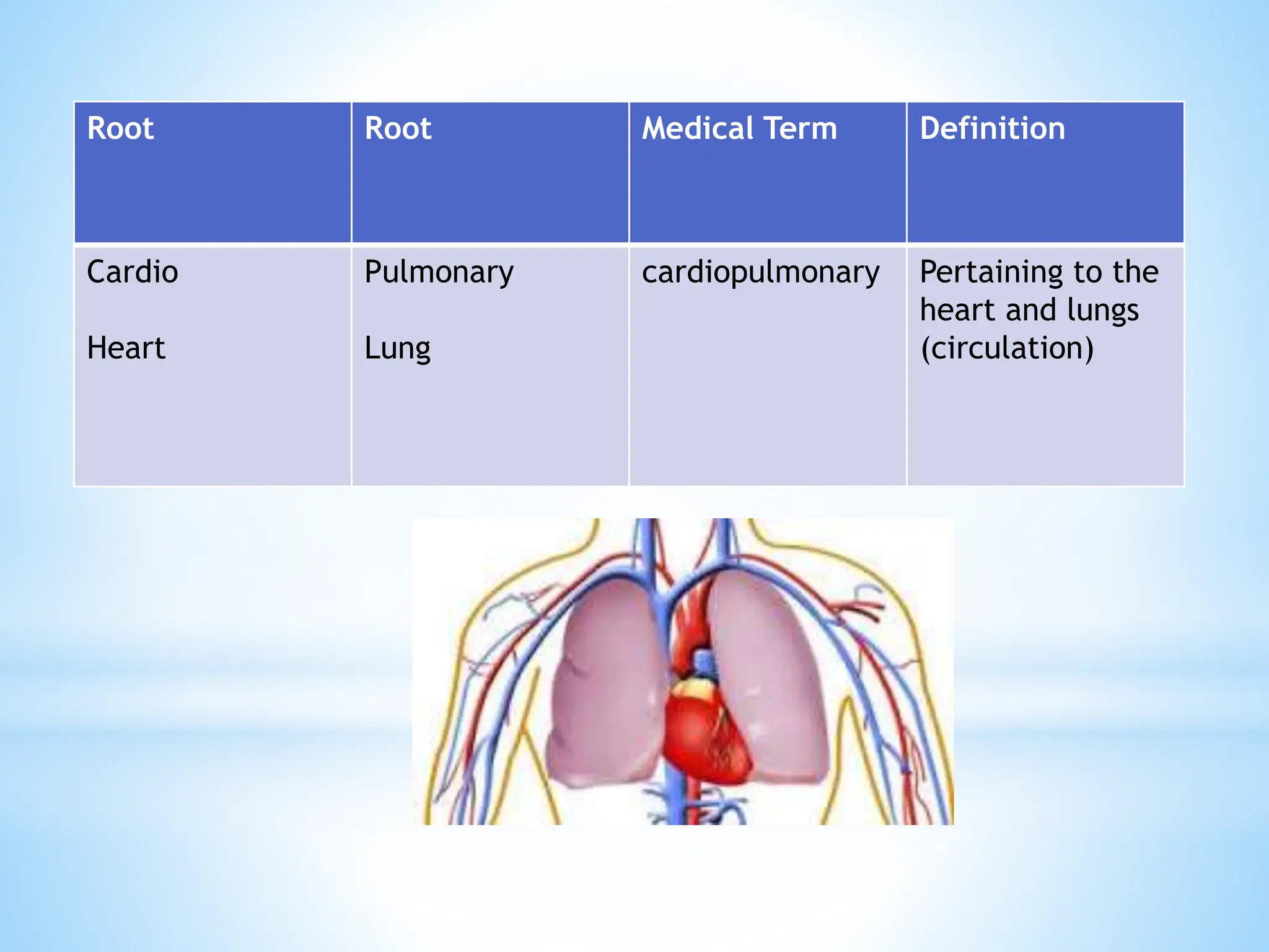 Medical Terminology root prefixes sufixes.pptx
