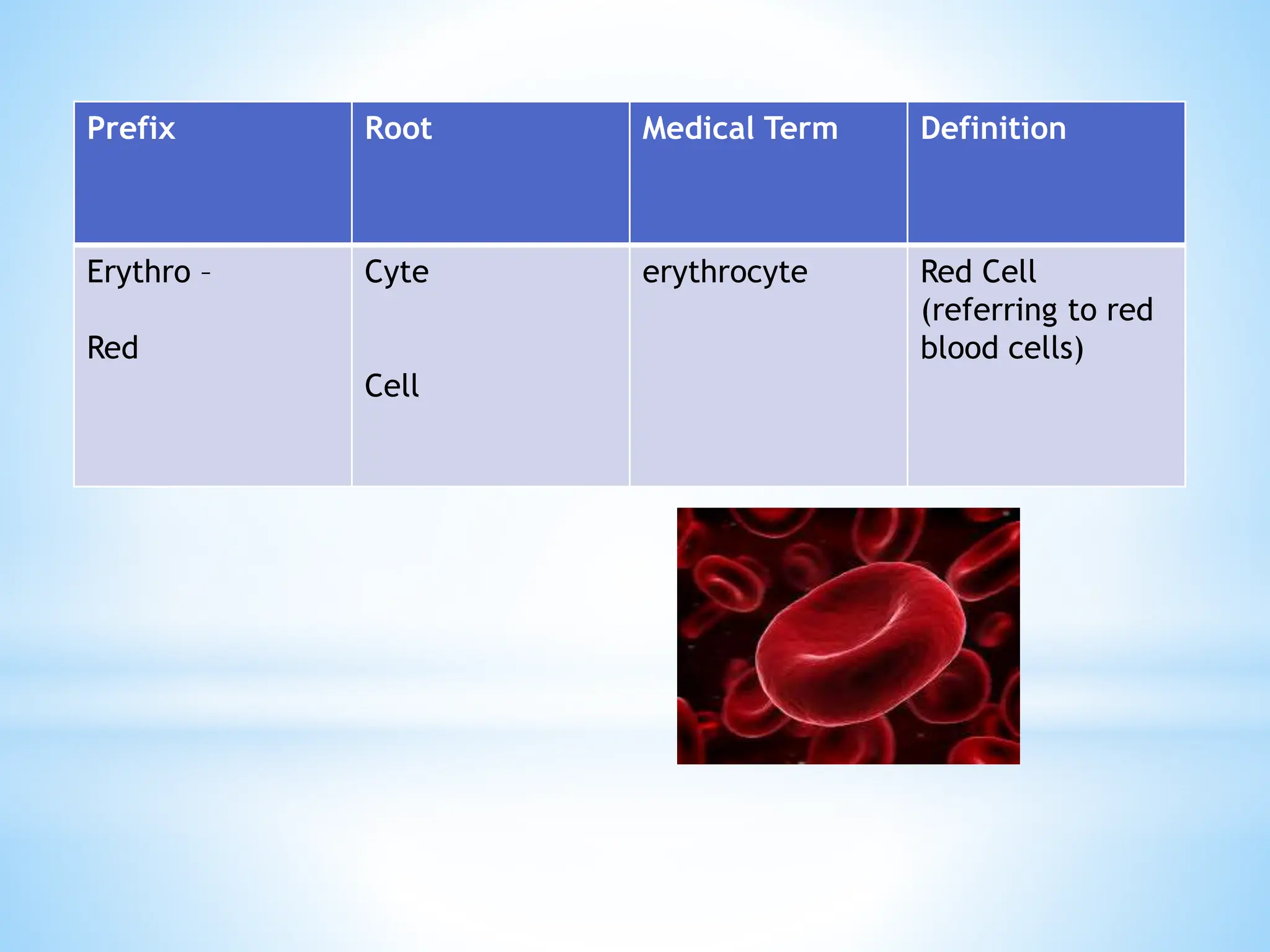 Medical Terminology root prefixes sufixes.pptx