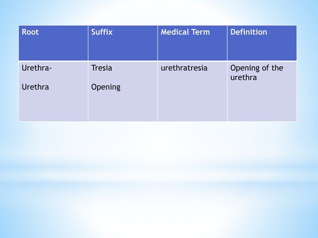 Medical Terminology root prefixes sufixes.pptx