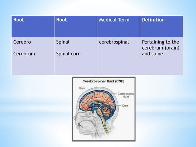Medical Terminology root prefixes sufixes.pptx