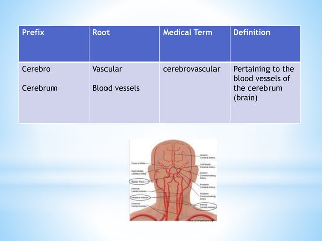 Medical Terminology root prefixes sufixes.pptx
