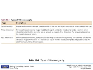 Medical Terminology 19.ppt and radiology | PPT