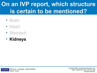 Medical Terminology 19.ppt and radiology | PPT