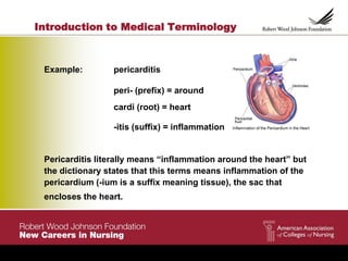 Medical terminology 2012 | PPTX