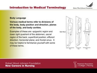 Medical terminology 2012 | PPTX