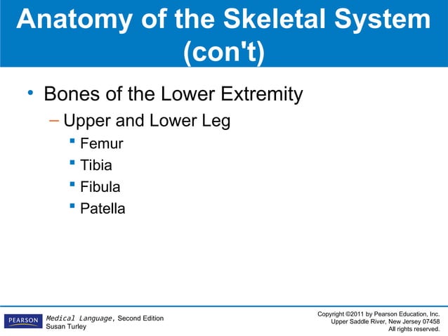 Medical Terminology 8.ppt and the orthopedic | PPT