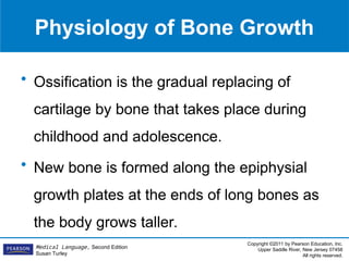 Medical Terminology 8.ppt and the orthopedic | PPT