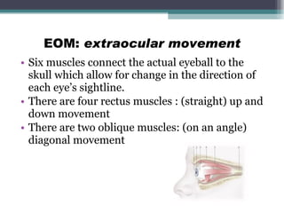 Medical terminology abbreviations | PPT