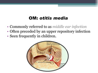 Medical terminology abbreviations | PPT