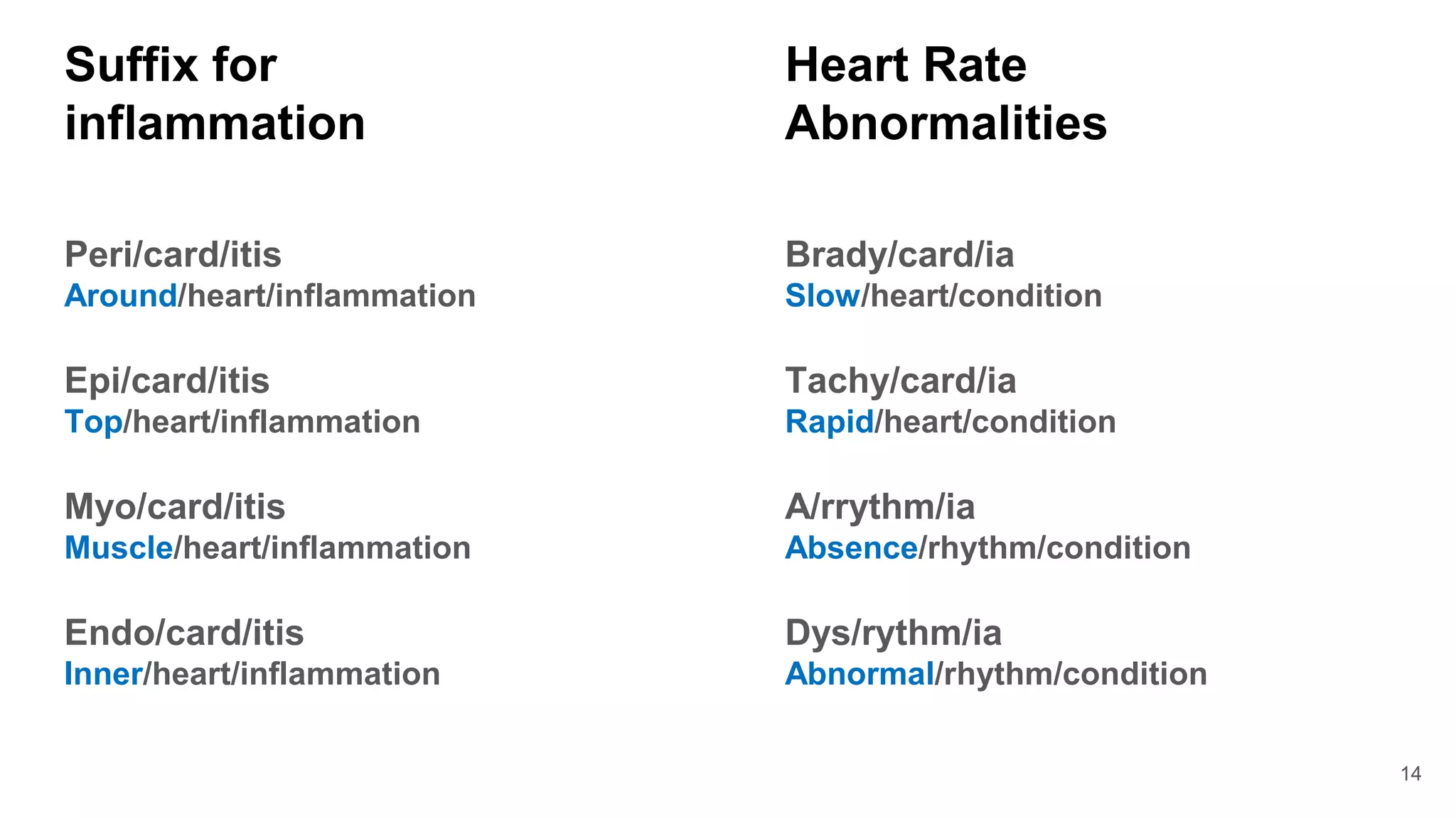Medical_Terminology_Cardiovascular.ppt