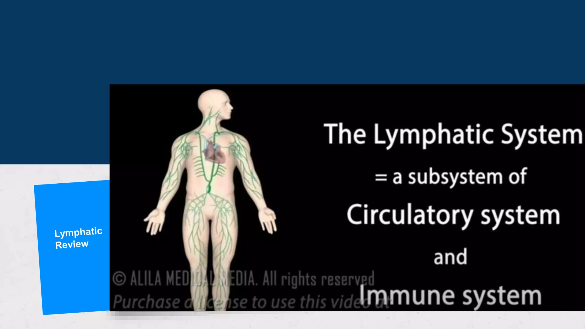 Medical_Terminology_Cardiovascular.ppt