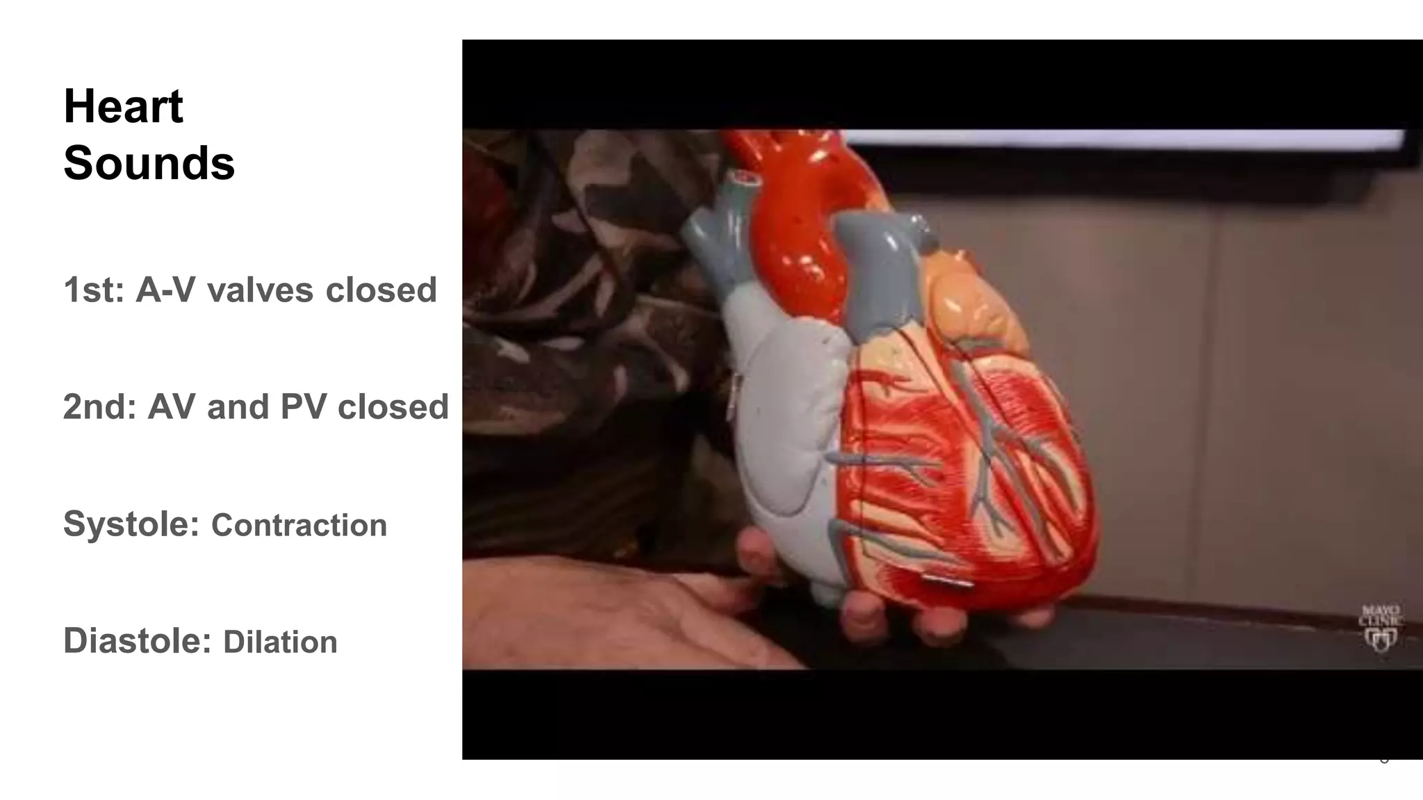 Medical_Terminology_Cardiovascular.ppt