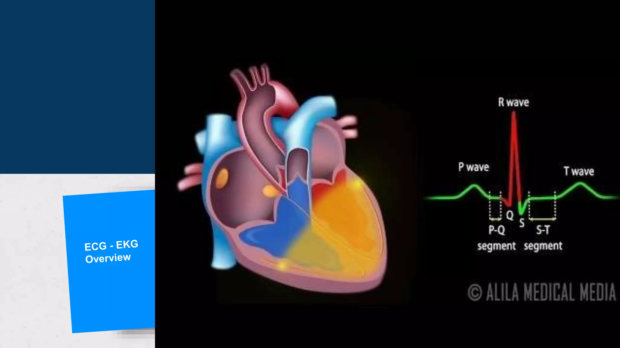 Medical_Terminology_Cardiovascular.ppt
